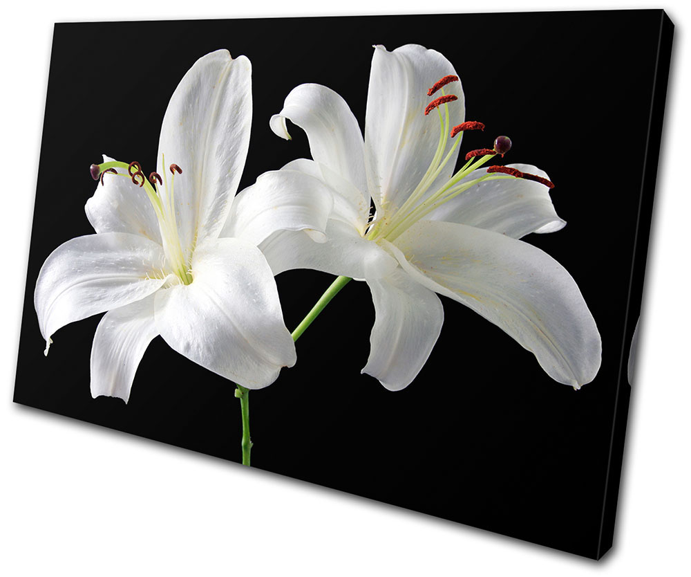 Floral Flowers SINGLE CANVAS WALL ART Picture Print VA | eBay